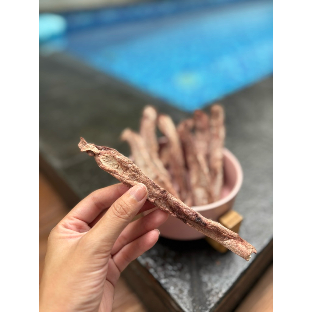 Jual Rocky n Co | Freeze Dried Pork Gullet / Esophagus cat snack treat ...