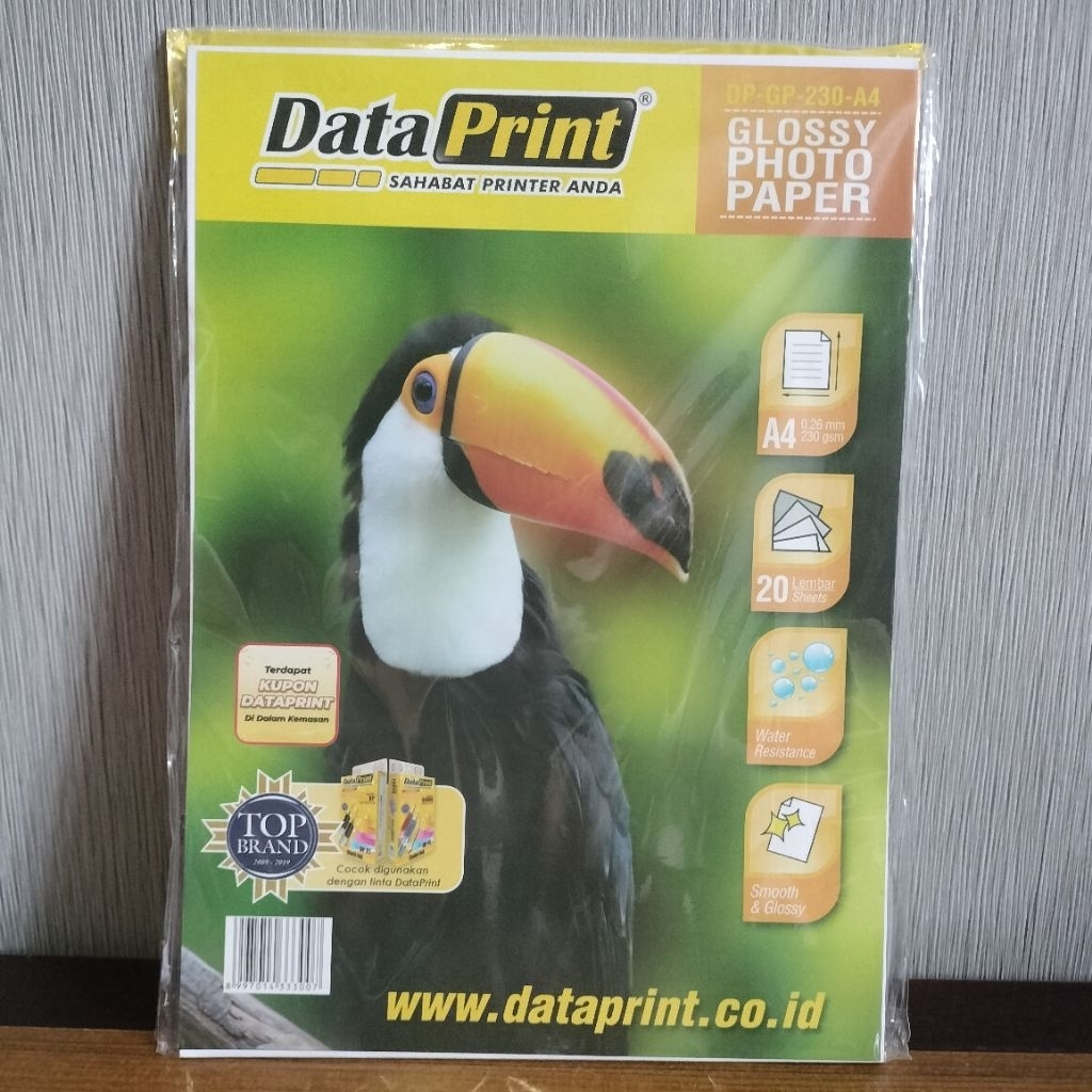 Jual Kertas Foto Glossy / Photo Paper Data Print A4, 230gsm | Shopee ...