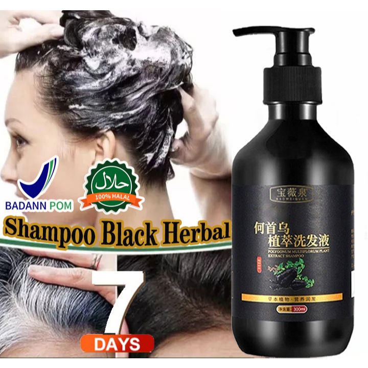 Jual Sampo Penghilang Uban Shampoo Black Herbal Natural Polygonum ...