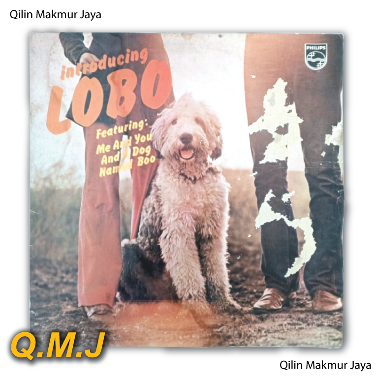 Jual Lobo – Introducing Lobo, 12 Inch (Vinyl/Piringan Hitam/PH/LP/Musik ...