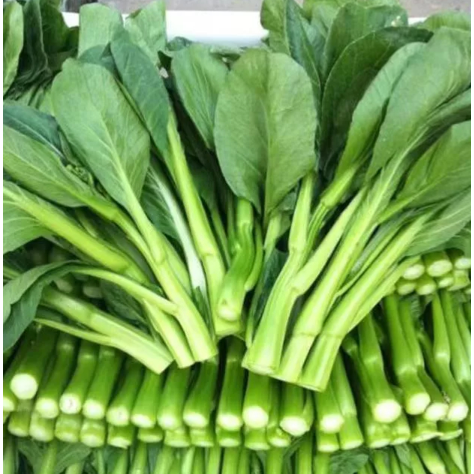 Jual RBP Benih SAWI Kailan Unggulan sayur kaelan gailan panjang baby ...