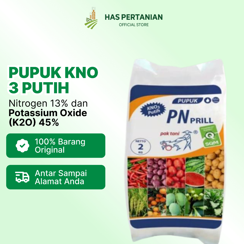 Jual Pupuk KNO3 Putih: Kekuatan Kalium & Nitrat untuk Panen Maksimal ...
