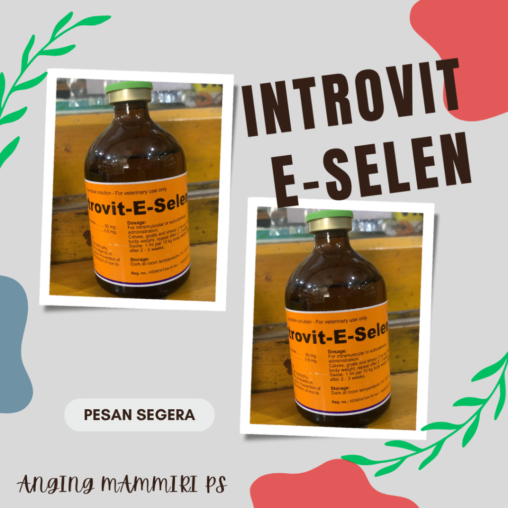 Jual INTROVIT E SELEN 100 ML ( Vitamin E Selenium Injeksi Hewan ...
