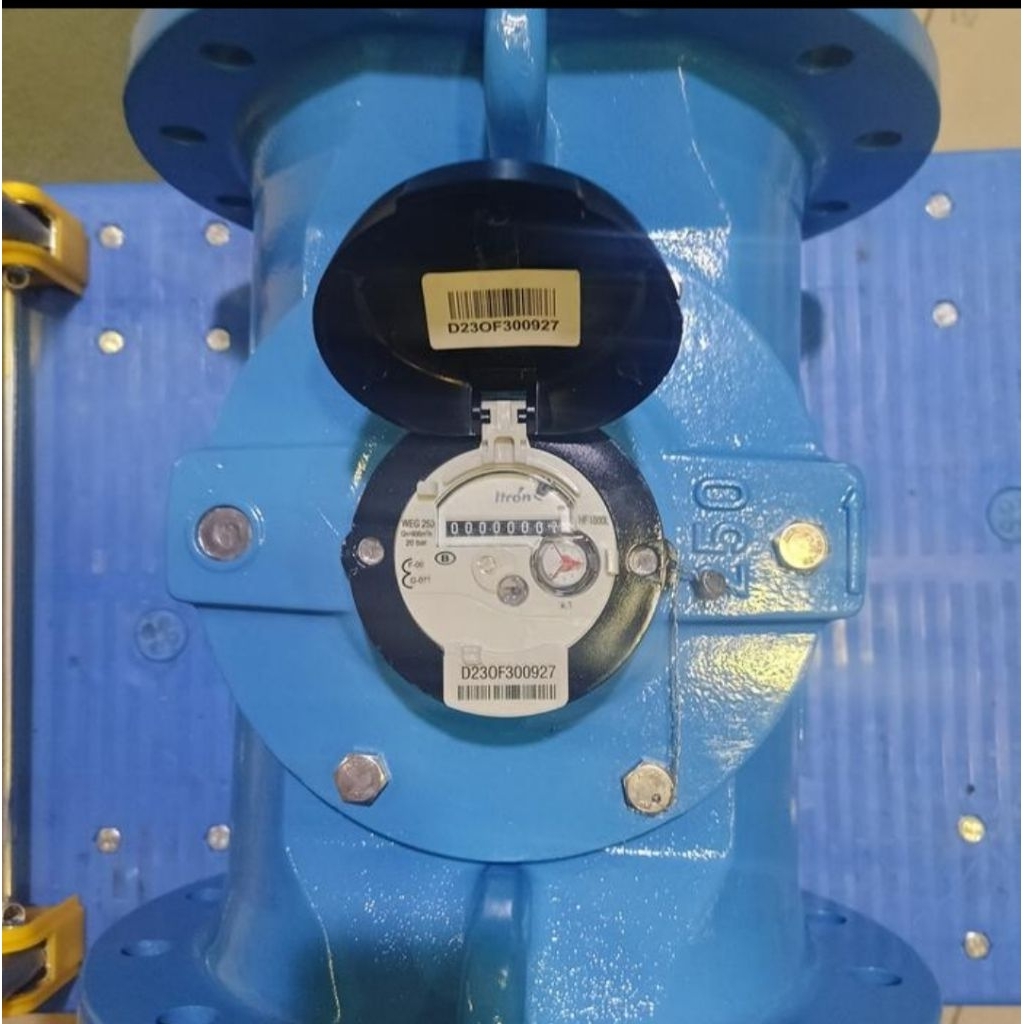 Jual Water meter ITRON 10 inch WOLTEX WEG 250 mm | Shopee Indonesia