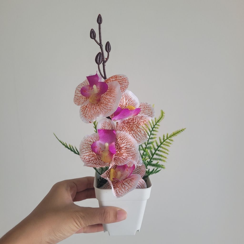 Jual Bunga Plastik ANGGREK BULAN Mini Artificial | Shopee Indonesia