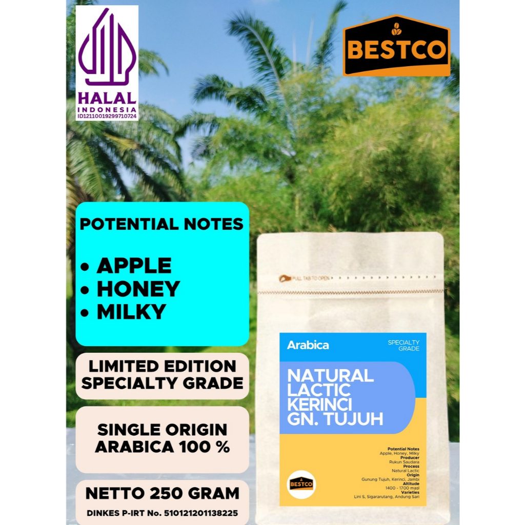 Jual Kopi Bestco Specialty Arabica Natural Lactic Kerinci Gunung Tujuh ...