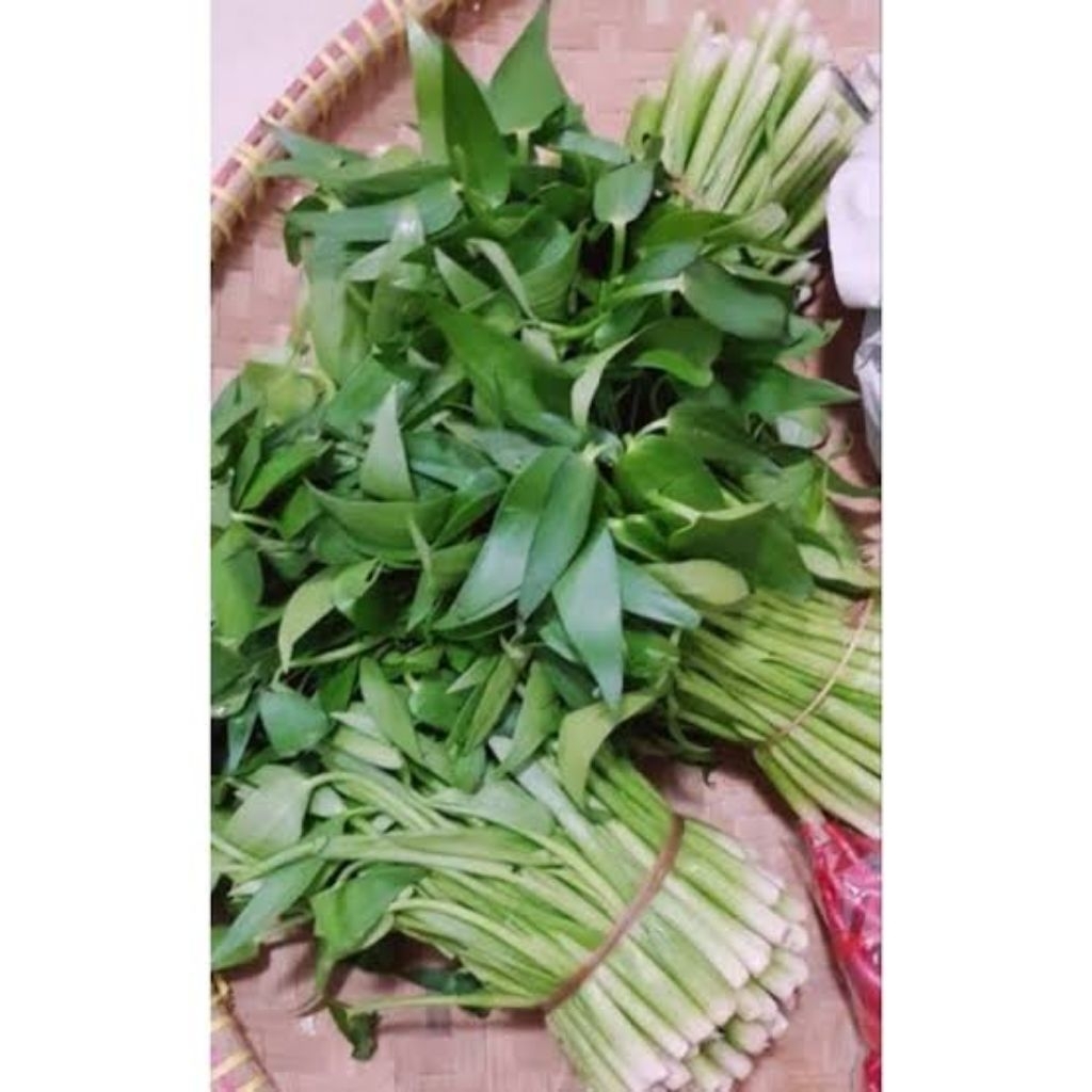 Jual PERIKAT Sayuran Eceng Sawah Segar | Sayuran Asli Kampung | Daun ...