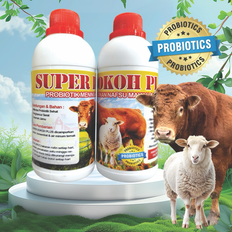 Jual SUPER DOKOH PLUS - Vitamin Penambah Nafsu Makan Sapi Kambing Mencegah PMK Mempercepat ...