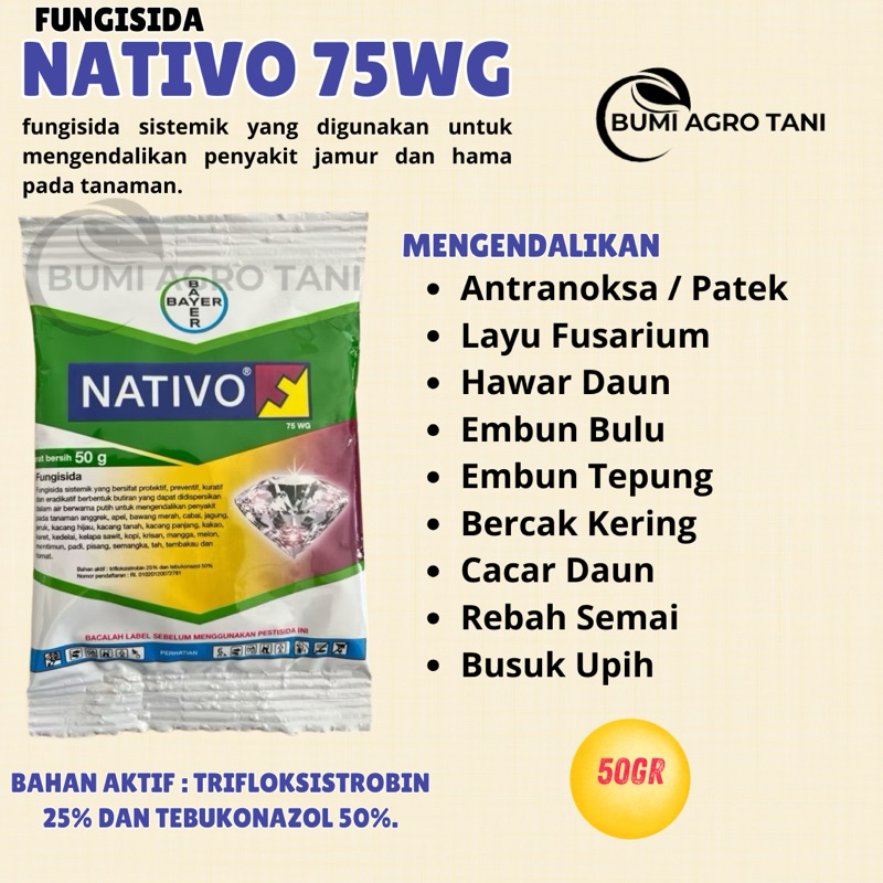 Jual FUNGISIDA SISTEMIK - NATIVO 75WG - 50 GRAM - BAYER PEMBASMI JAMUR TANAMAN | Shopee Indonesia