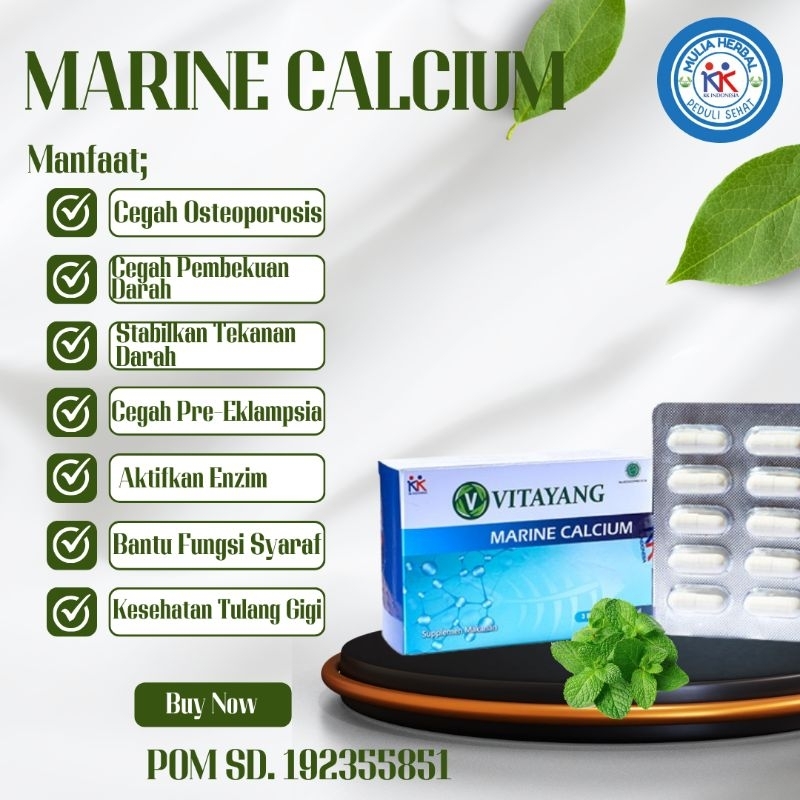 Jual Vitayang Marine CALCIUM Mineral Alami Mencegah Osteoporosis ...