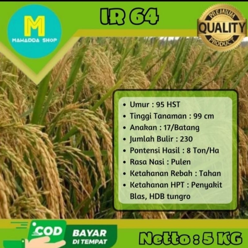 Jual Benih padi IR 64 BERKUALITAS KEMASAN 5KG | Shopee Indonesia