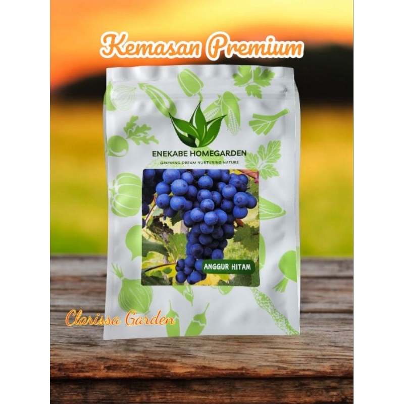 Jual (KEMASAN PREMIUM) BIJI/BENIH TANAMAN ANGGUR HITAM IMPORT (isi -+15 ...