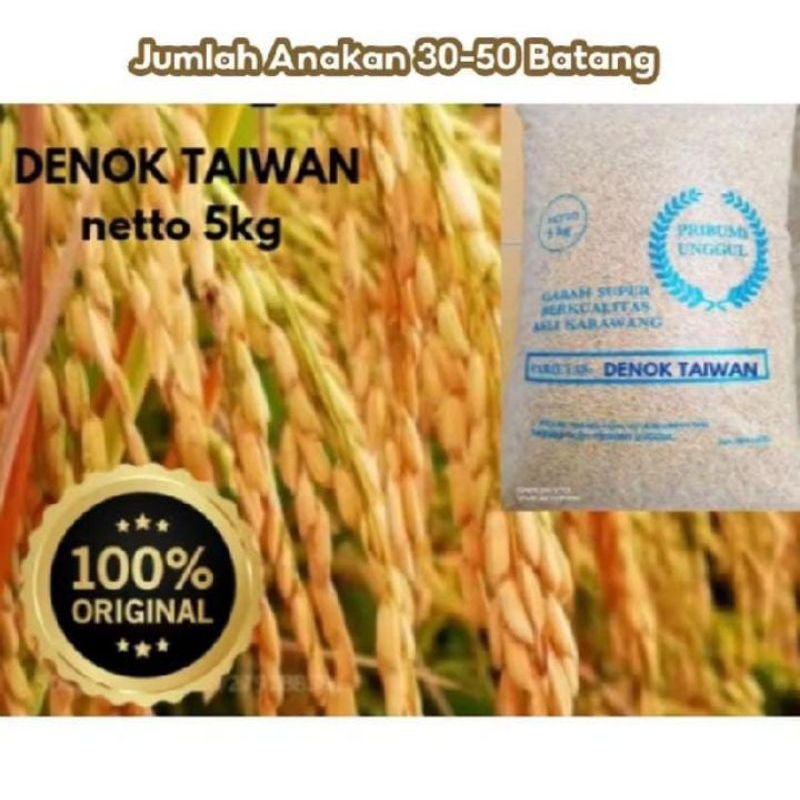 Jual BENIH/BIBIT PADI DENOK TAIWAN kemasan 5KG | Shopee Indonesia