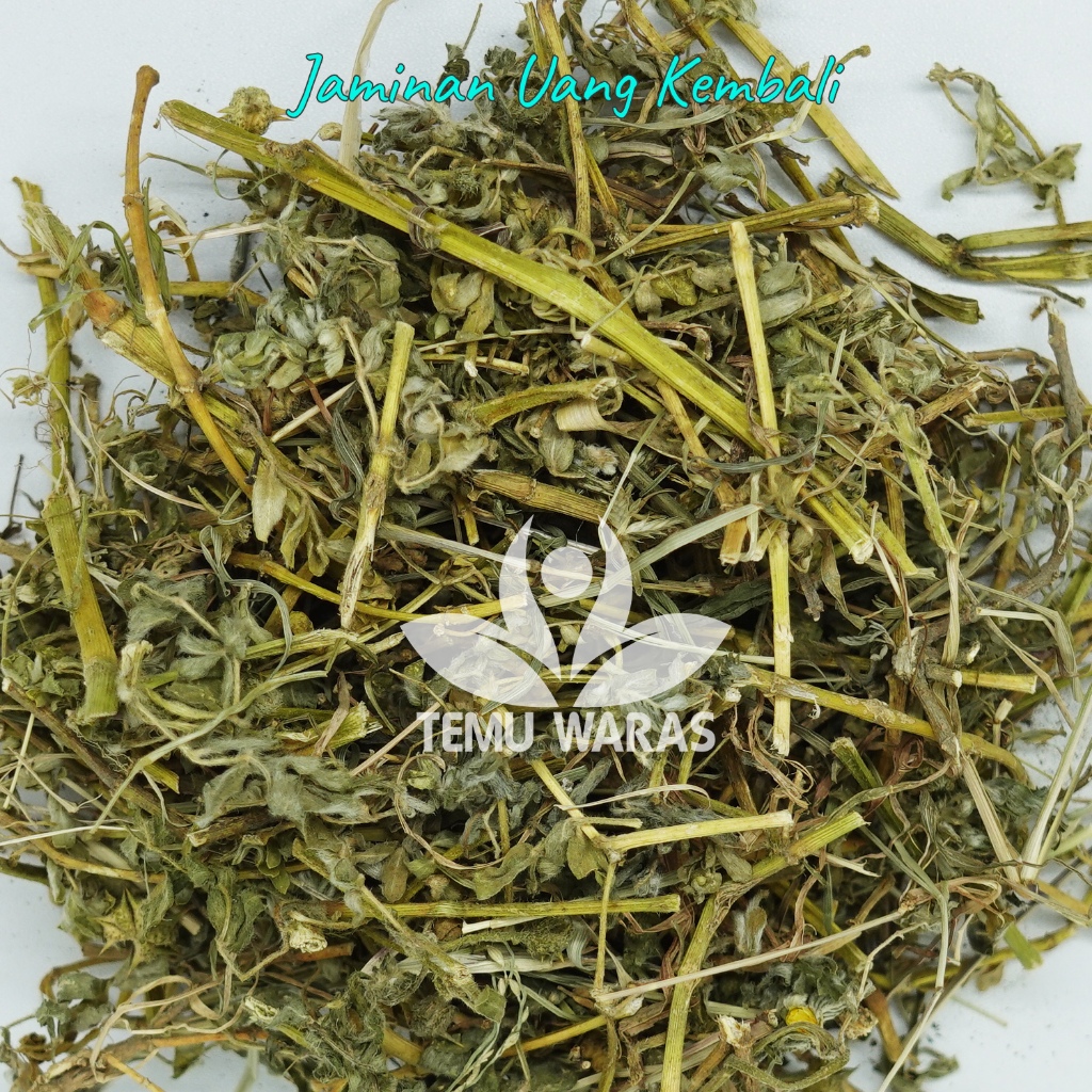 Jual Tribulus Kering 250gr Bersih dan Organik | Shopee Indonesia