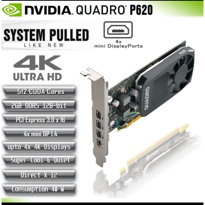Jual OBRAL MURAH VGA Render NVIDIA Quadro P620 2GB GDDR5 512CORE support 4xQHD Monitor | Shopee ...