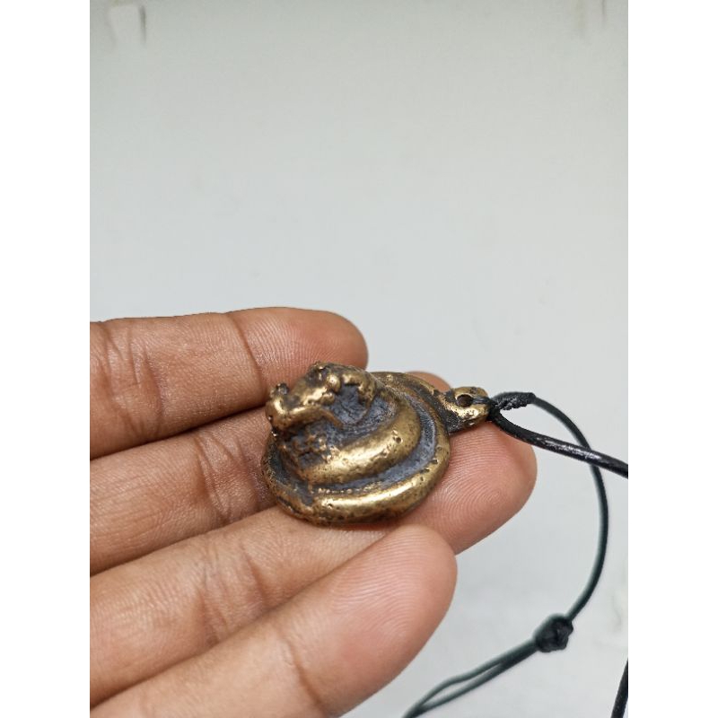 Jual antikan belut kuning unik | Shopee Indonesia