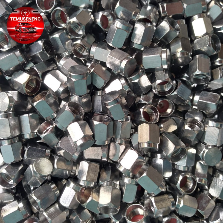 Jual Tutup Pentil BESI Seal Chrome Untuk Ban Mobil Motor Sepeda Anti ...