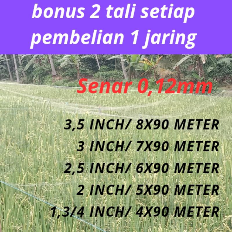 Jual jaring burung emprit/jaring sawah/jaring padi sawah/jaring senar"0 ...