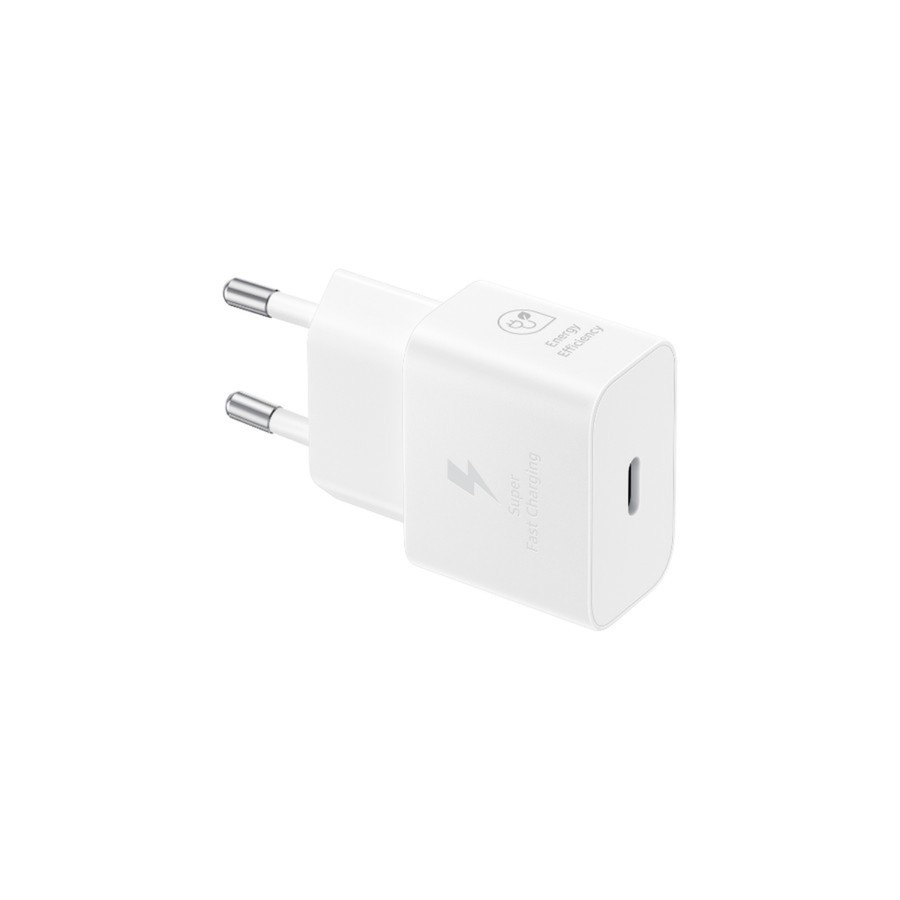 Jual Samsung Travel Adapter 25 Watt Charger Handphone | Shopee Indonesia