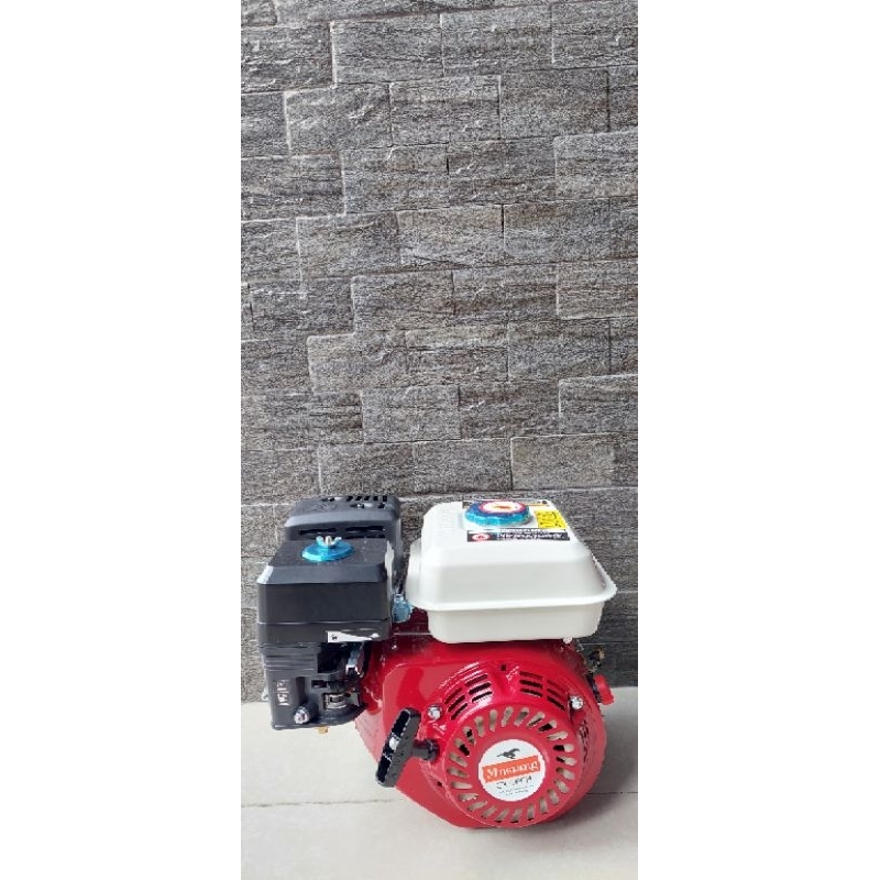 Jual Engine MUSTANG CX160H Mesin Penggerak Serba Guna MUSTANG 5.5Hp / MUSTANG CX160H | Shopee ...