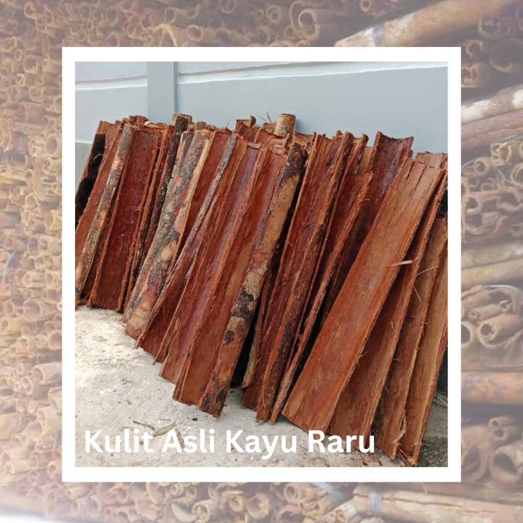 Jual 1kg Kulit Asli Kayu Raru Medan Kulit Raru Kering,Bersih Siap Rebus ...