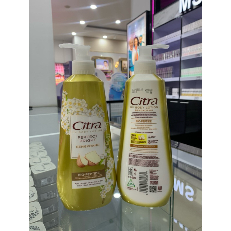 Jual CITRA UV BODY LOTION PERFECT BRIGHT BENGKOANG 380 ML | Shopee ...