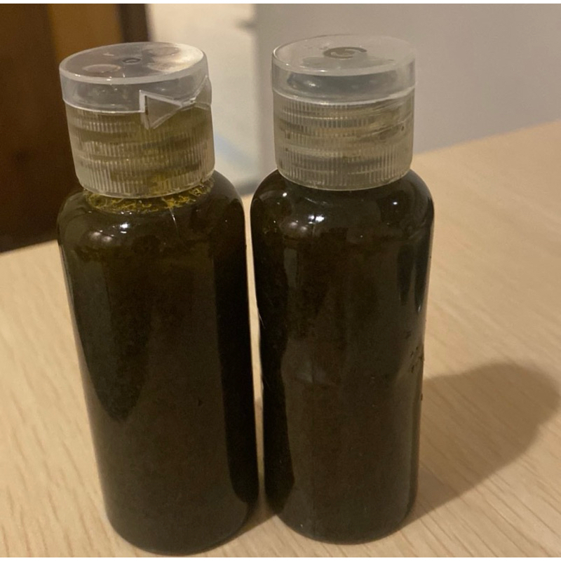 Jual Daun bungkus papua | Shopee Indonesia