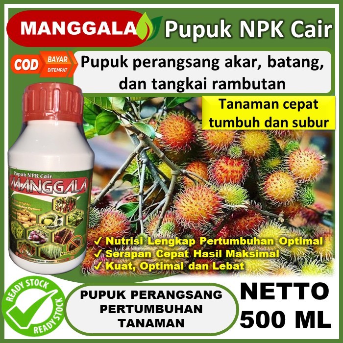 Jual Pupuk Untuk Rambutan NPK MANGGALA 500ML - Memaksimalkan pertumbuhan batang dan buah ...