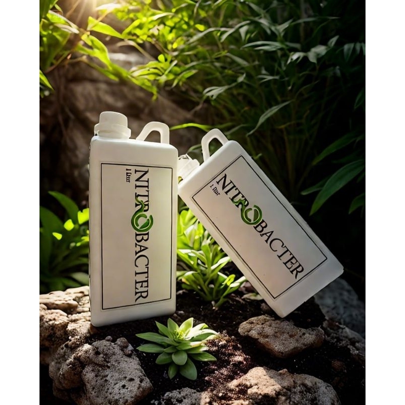 Jual Nitrobacter (pupuk cair pengikat nitrogen tanah) | Shopee Indonesia
