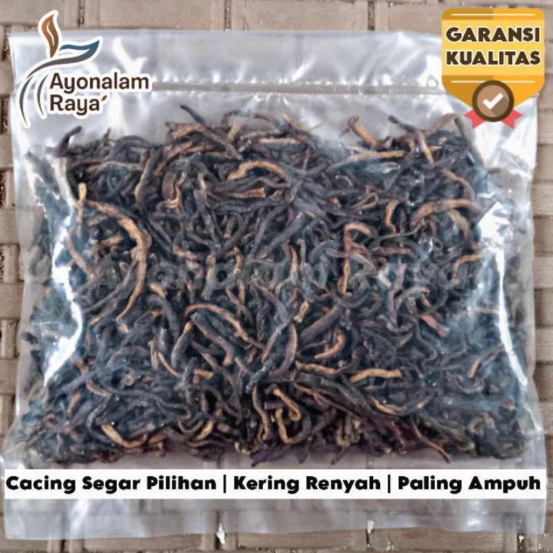 Jual Cacing Kering Untuk Tipes Cacing Tanah Kering Obat Herbal Tipes ...