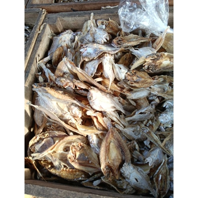 Jual ikan asin tigo wojo gereh 250 gram | Shopee Indonesia