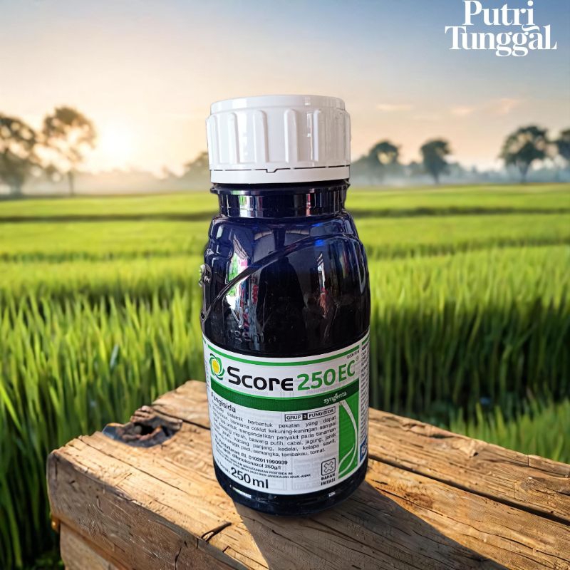 Jual Score 250EC fungisida original sygenta | Shopee Indonesia