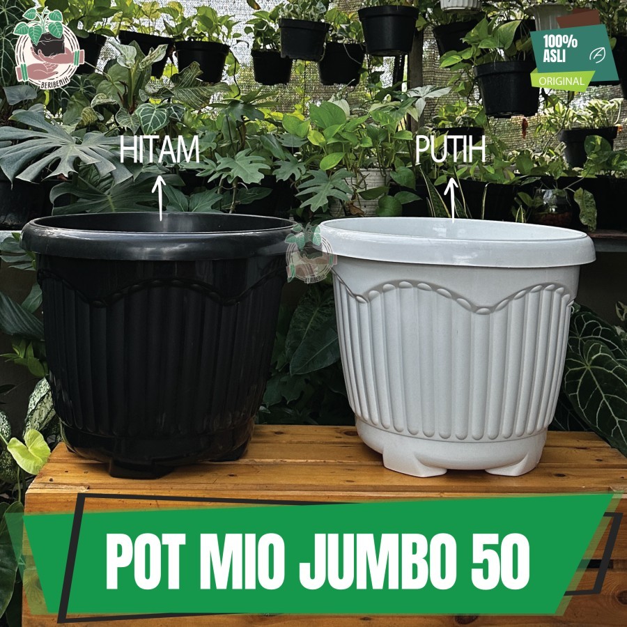 Jual Pot Taman Kebun Besar Pot Bunga Tanaman Hias Shallom Mio 50 ...