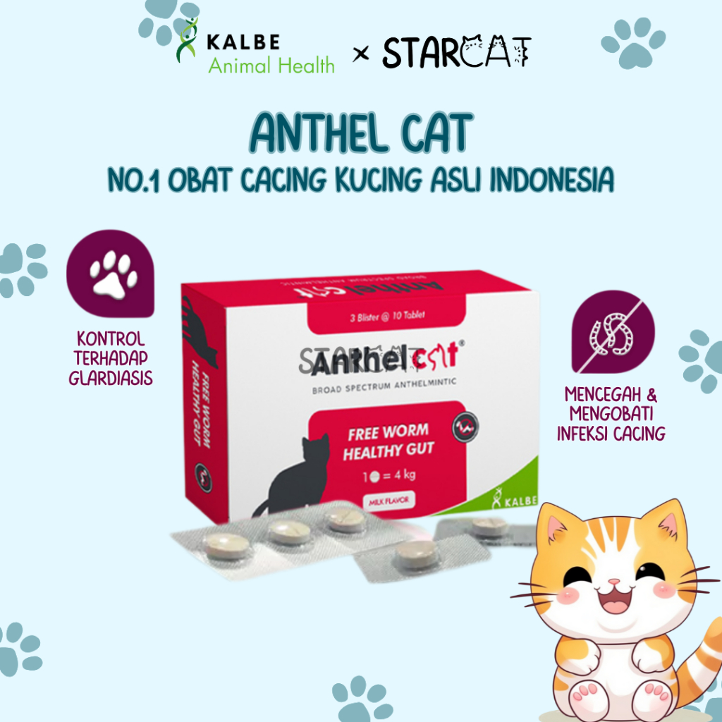 Jual SC Kalbe ANTHEL CAT 1 Tablet Obat Cacing Kucing Original Ampuh ...