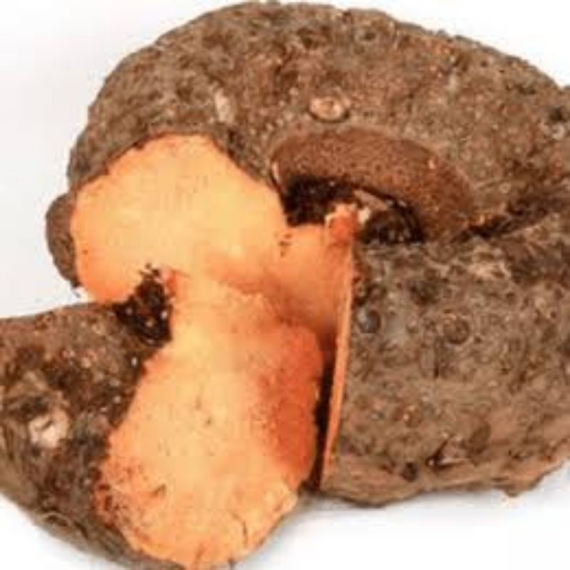 Jual UMBI SUWEK/SUWEG FRES/BUNGA BANGKAI/ADA PESANAN BARU DIAMBILKAN/1 ...