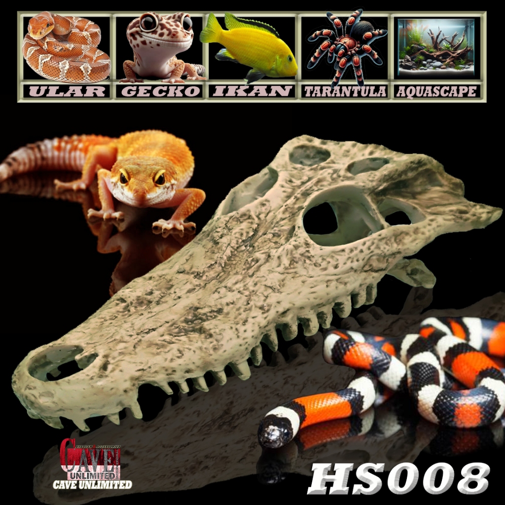 Jual HS008 HIDING SKULL ORNAMEN HIASAN AQUASCAPE AKUARIUM IKAN ...