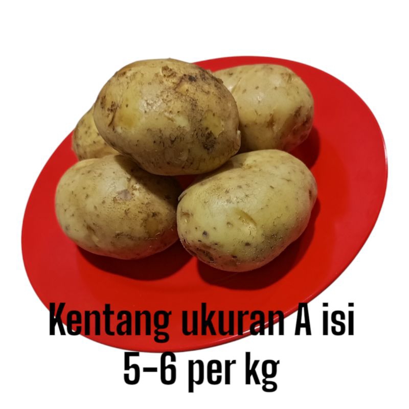 Jual Kentang Besar isi 5-7 per kg | Shopee Indonesia