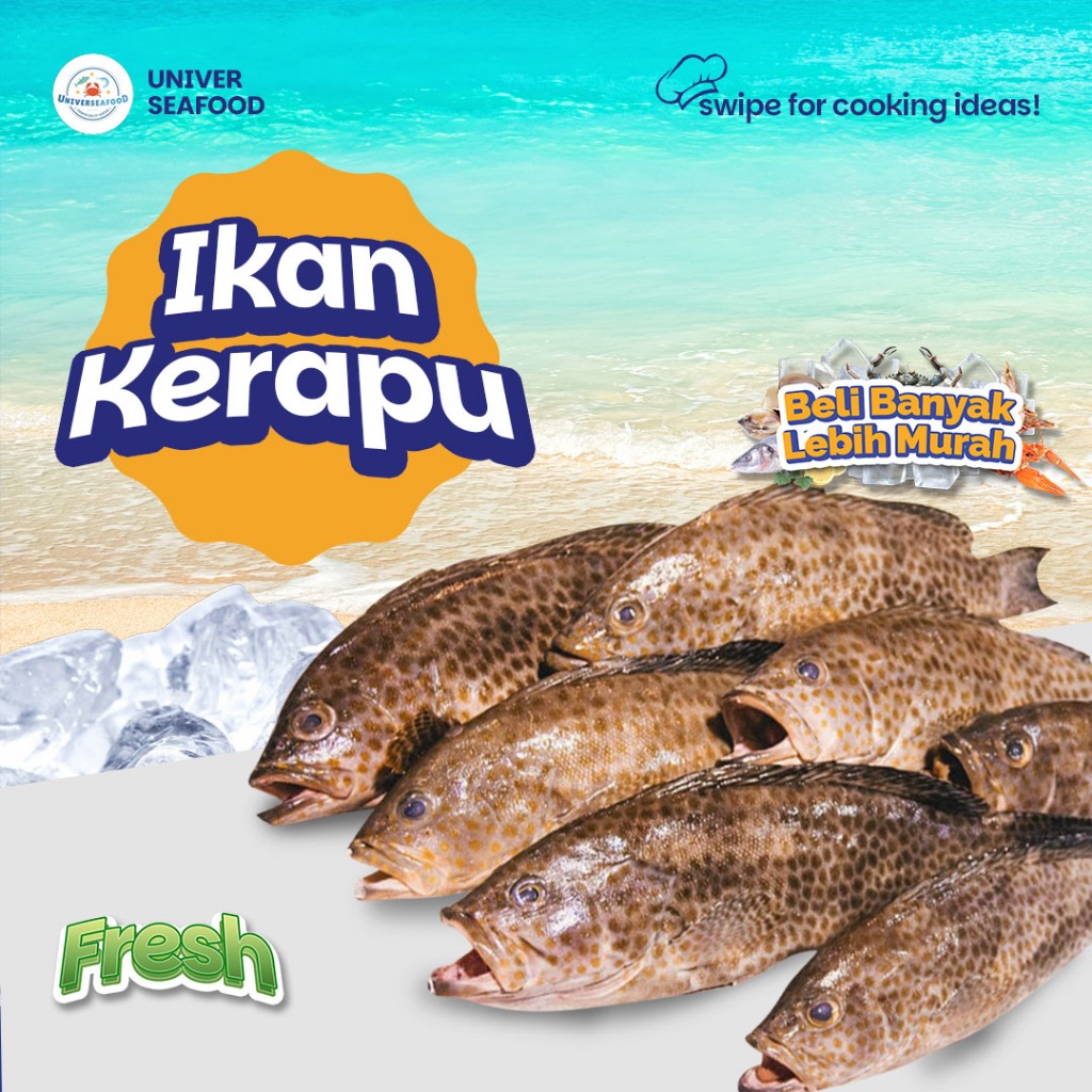 Jual ikan kerapu/grouper fresh 1kg | Shopee Indonesia