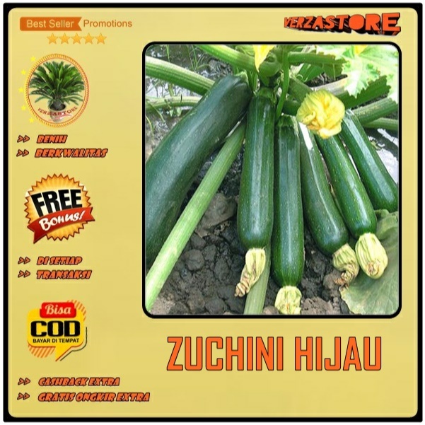 Jual Biji Benih Zucchini Hijau Bibit Tanaman Zukini - Sukini Zukini ...