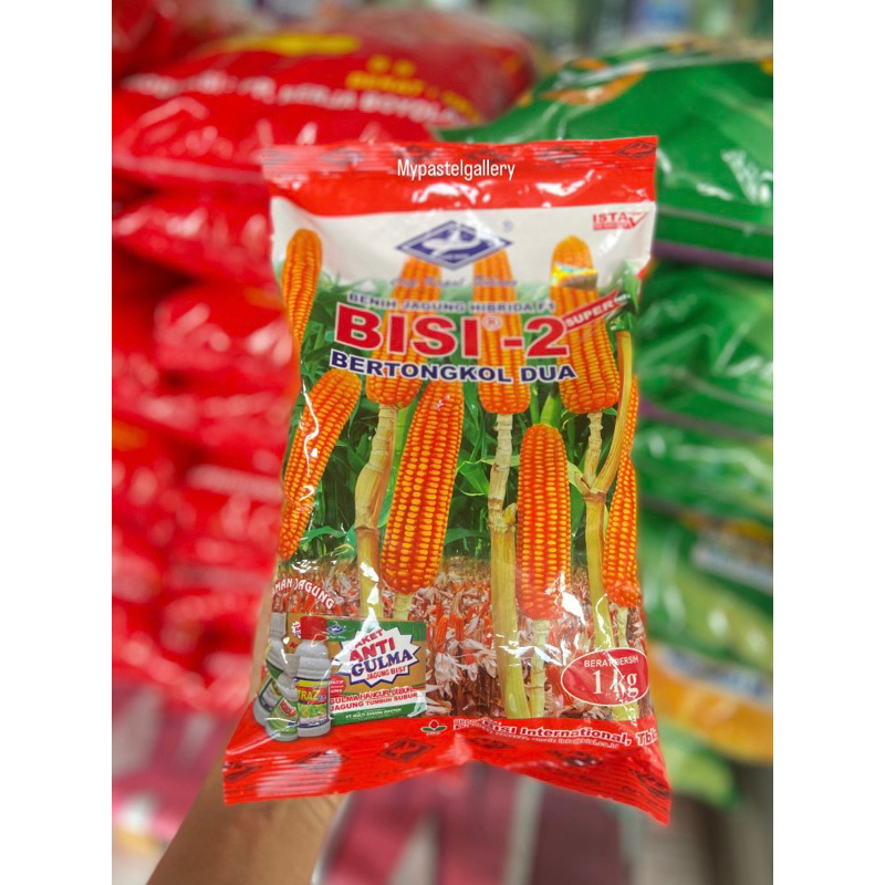 Jual BISI 2 BIBIT JAGUNG ORIGINAL / BENIH BISI 2 BERTONGKOL DUA CAP ...
