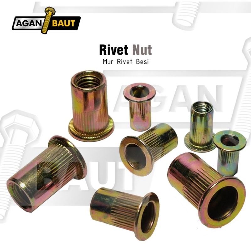 Jual Mur Rivet Nut M4 / Mur Tanam | Shopee Indonesia