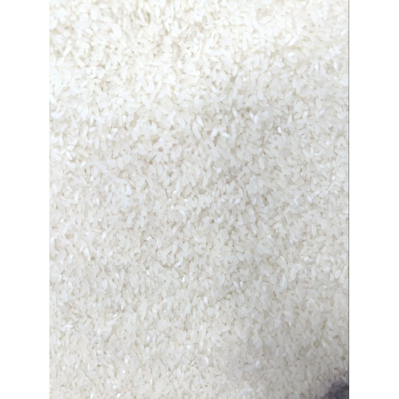 Jual BERAS PERAK (IR 42. ) KARUNG POLOS _5KG,10KG&20KG | Shopee Indonesia