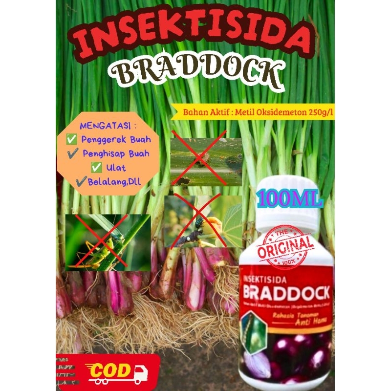 Jual Insektisida Braddock Bawang Merah Pembasmi Ulat Grayak Sundep ...
