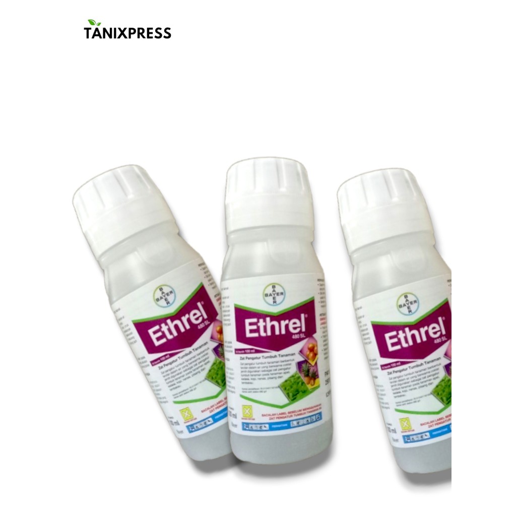 Jual ETHREL ZPT 100ML PEMATANG BUAH | Shopee Indonesia