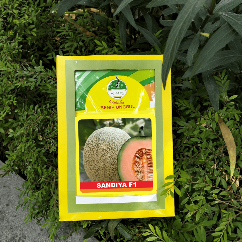 Jual Benih Melon Daging Oren Cap Kujang Sandiya F1 20gr | Shopee Indonesia