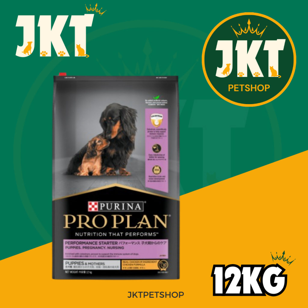 Jual ProPlan Dog Performance Starter Mother & Baby Dog Puppy Chicken ...