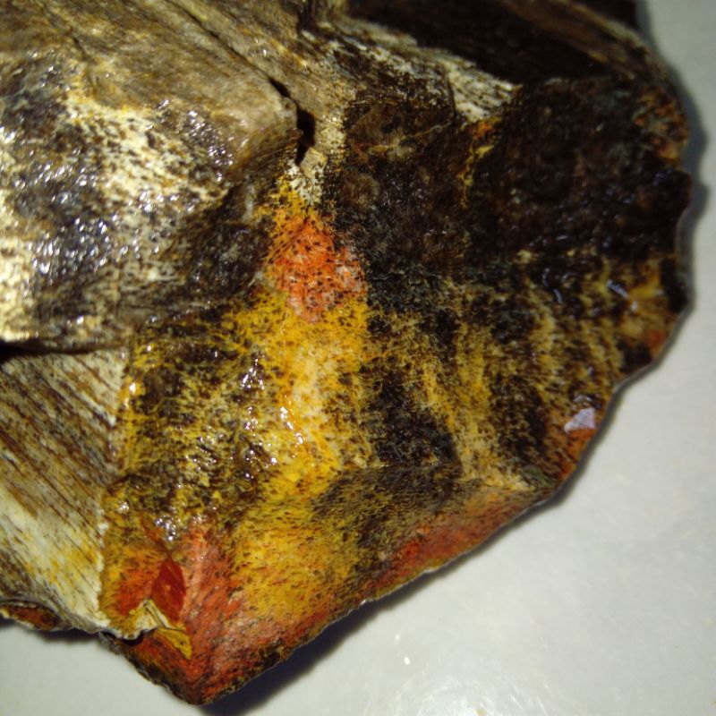 Jual Natural Batu Motif Bulu Macan Sumatera Unik & Langka | Shopee ...