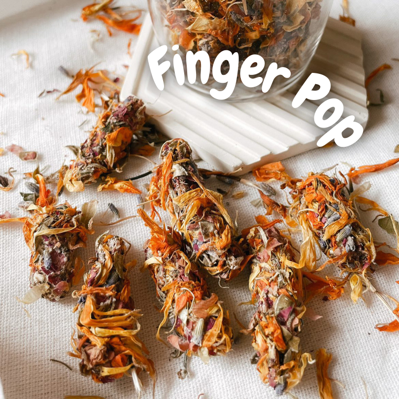 Jual Finger Pops by Skinny Fat Factory - snack hamster kelinci guinea ...