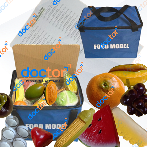 Jual Food Model Makanan Isi 26-Replika Makanan 4 Sehat 5 Sempurna-Alat ...