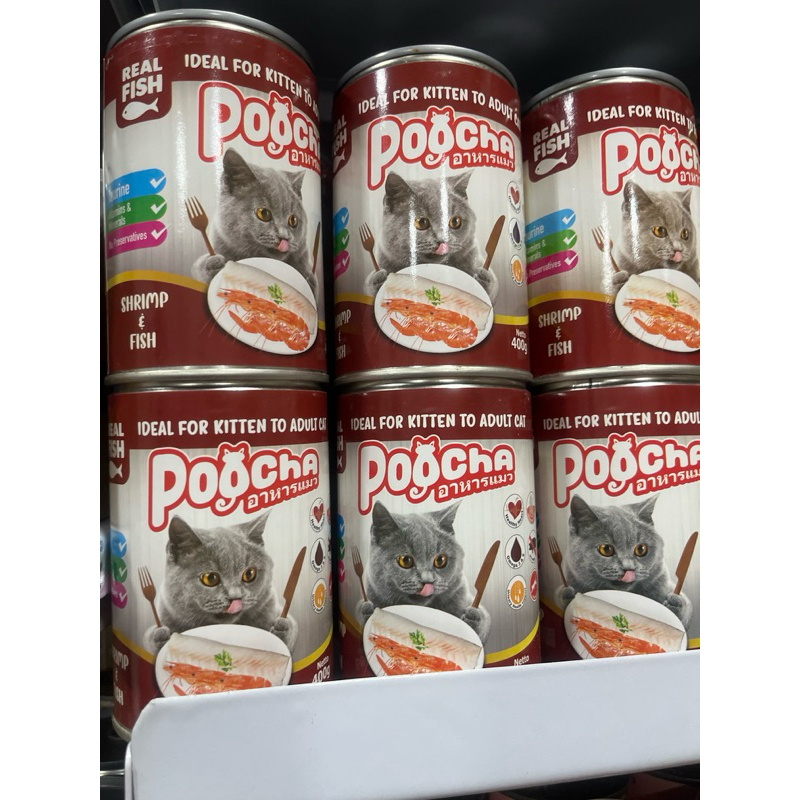 Jual poocha kaleng kemasan 400gr | Shopee Indonesia